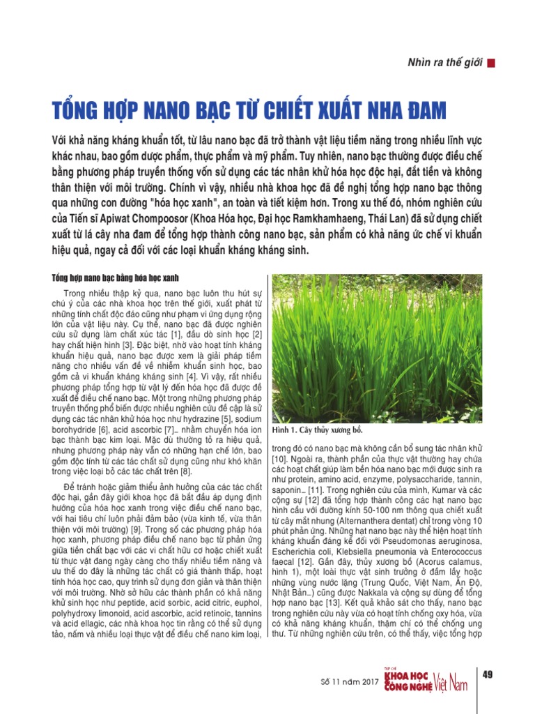 Nano B C T Nha Đam | PDF