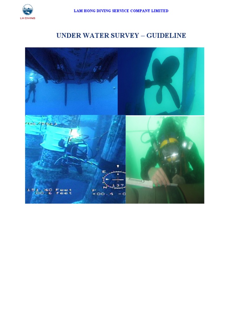 UWILD Underwater Survey Guidelines | PDF | Underwater Diving