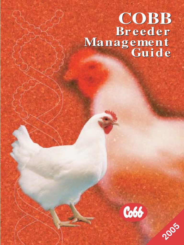 Cobb Breeder Management Guide 2005 | PDF | Coefficient Of Variation | Beak