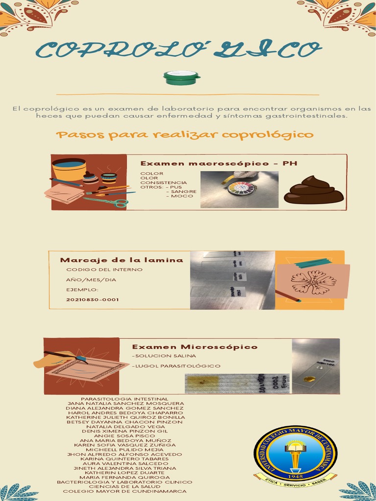Procedimiento del Examen Coprológico | PDF | Especialidades Medicas ...