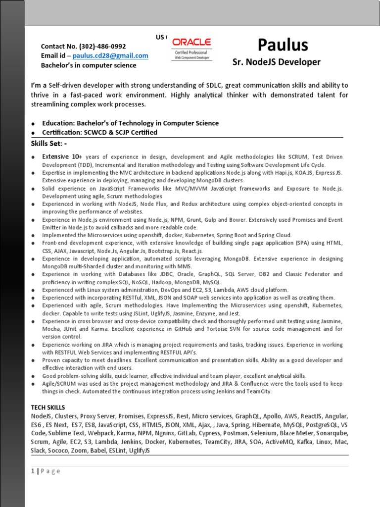 Paulus - NodeJS Developer | Download Free PDF | Angular Js | Ajax (Programming)