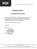 Civil Engineer Experience Certificate Word Format | PDF