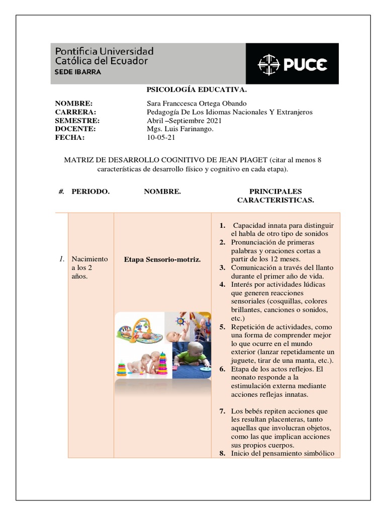 Matriz de Desarrollo Cognitivo | PDF | Razón | Desarrollo cognitivo