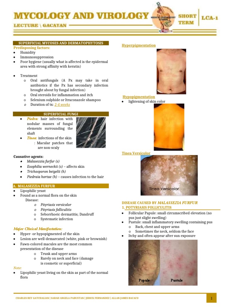 Superficial Mycoses 1 | PDF | Diseases And Disorders | Medical Specialties