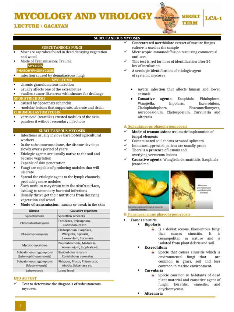 MYCO VIRO Subcutaneous Mycoses 1 | PDF | Immunology | Epidemiology