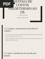 Concepto y Características de Producción Conjunta | PDF