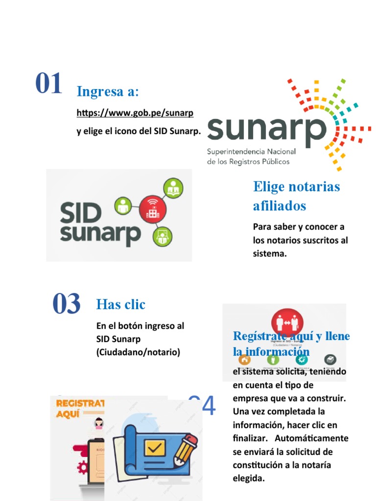 El Proceso de Constitución en Línea de Sunarp | PDF