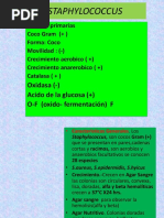 Características del exudado purulento | PDF | Infección | Medicina CLINICA