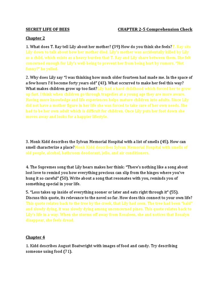 Secret Life of Bees Chapter 2-5 Comprehension Check | PDF