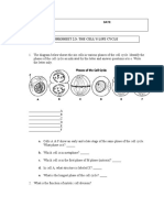 Biology Practice Test 9 Answer Key | PDF | Mitosis | Meiosis