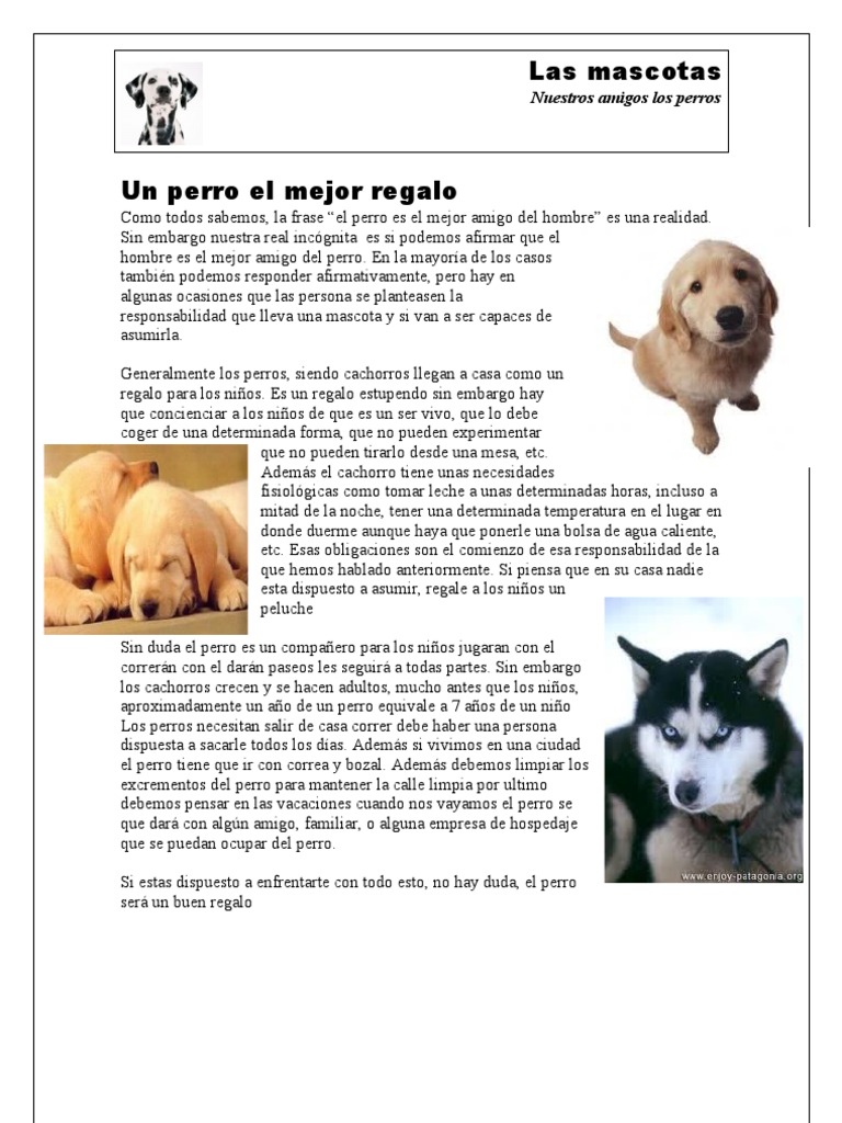 Word Perros | PDF