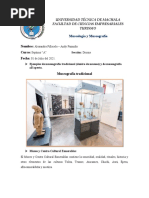 El Hombre Que Se Convirtió en Perro - Osvaldo Dragún | PDF | Teatro