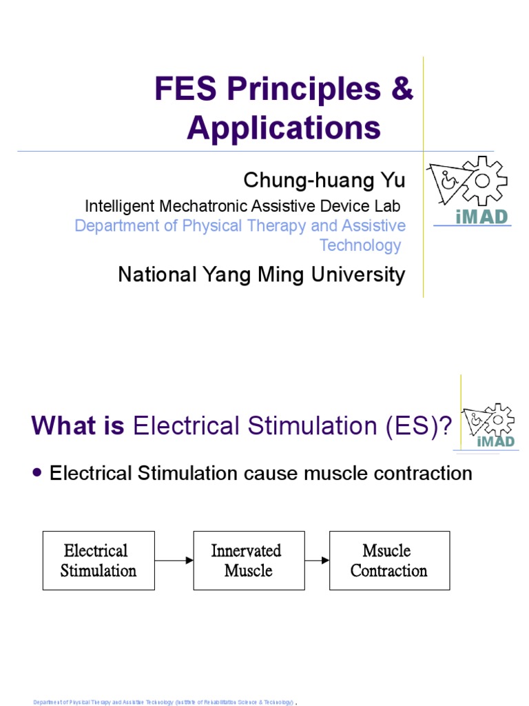 FES Principles & Applications | PDF | Motor Neuron | Somatosensory System