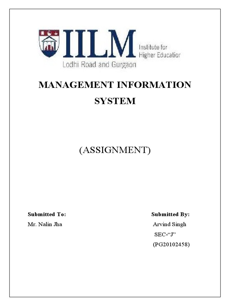 Management Information System Assignment Pdf Sprint Corporation