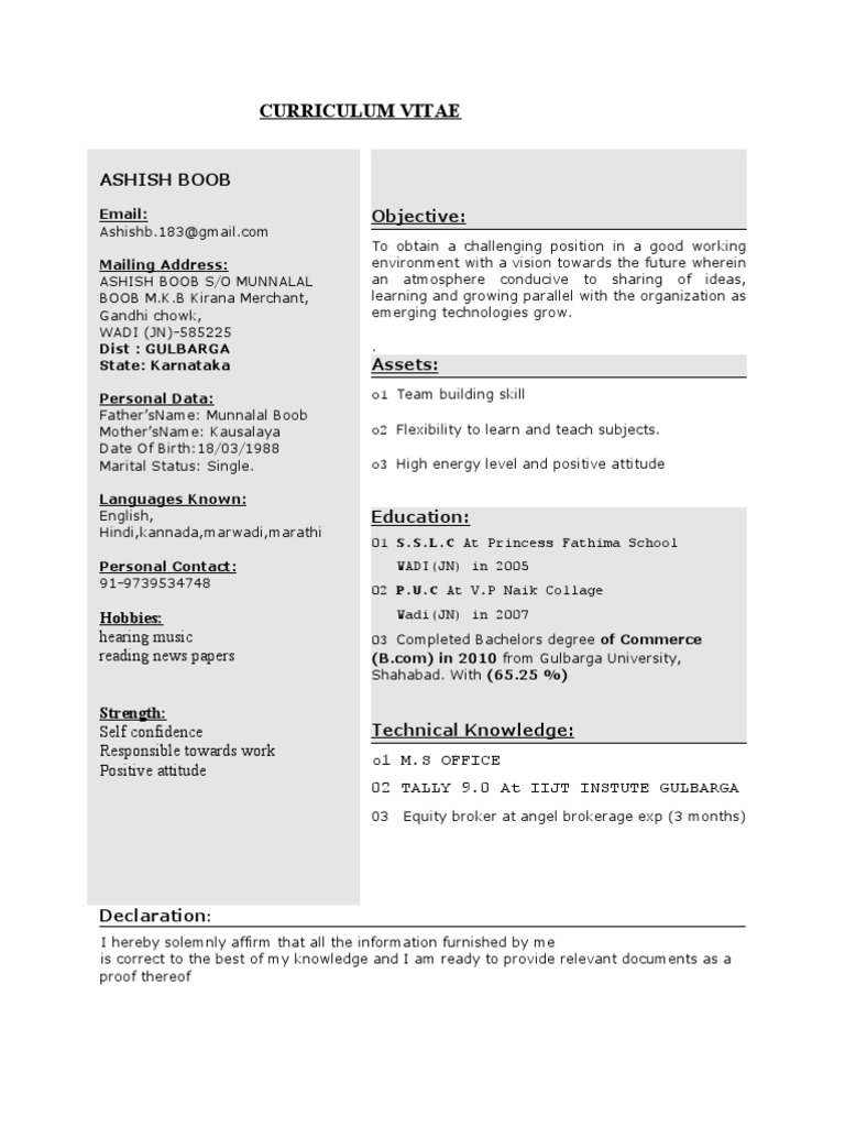 Ashish Boob - B.Com Graduate CV | PDF