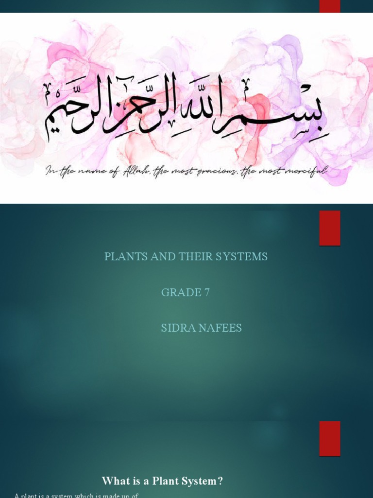 Plant and Their Systems, Gr-7, Adyala | PDF | Leaf | Plants