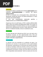 Clasificacion de Baltimore | PDF | Virus | Rna
