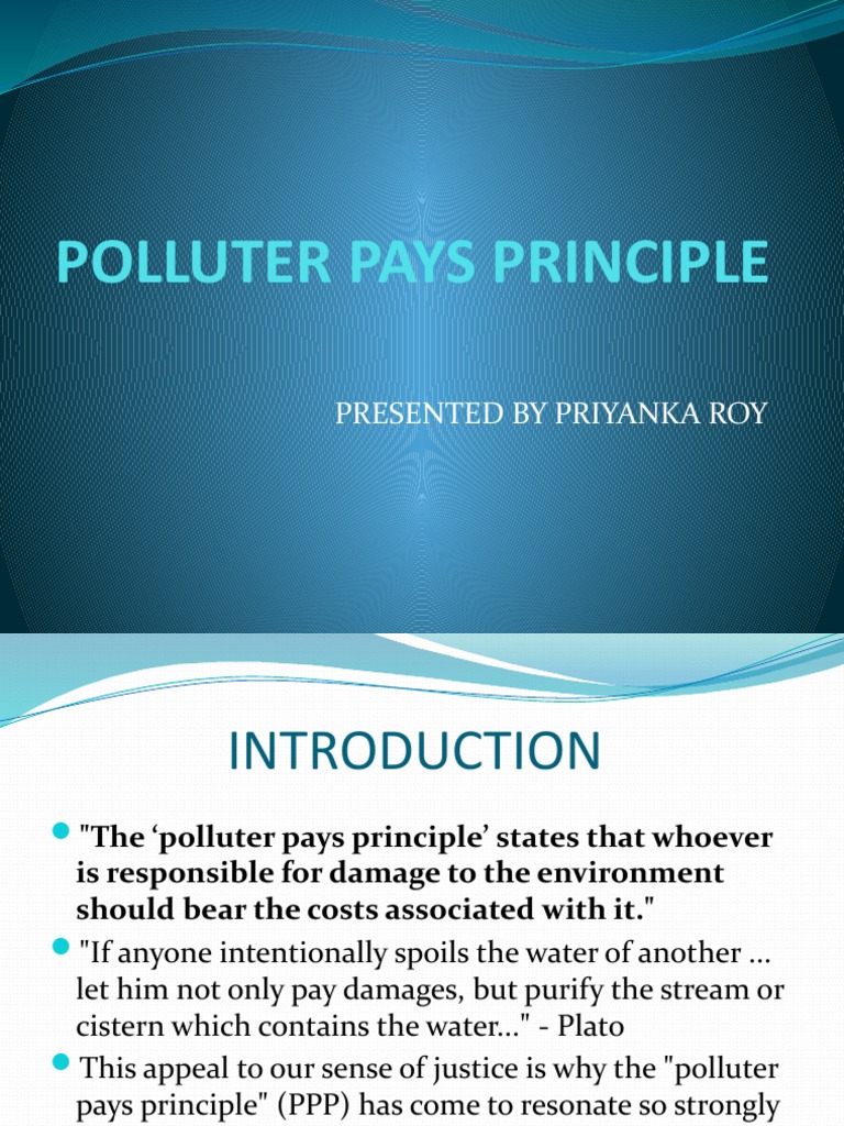 Polluter Pays Principle | PDF | Externality | Environmental Policy