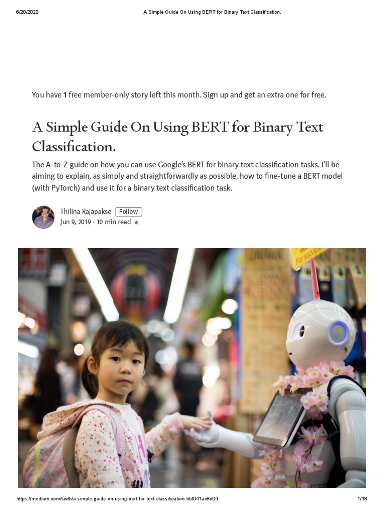 A Simple Guide On Using BERT For Binary Text Classification | PDF | Comma Separated Values ...