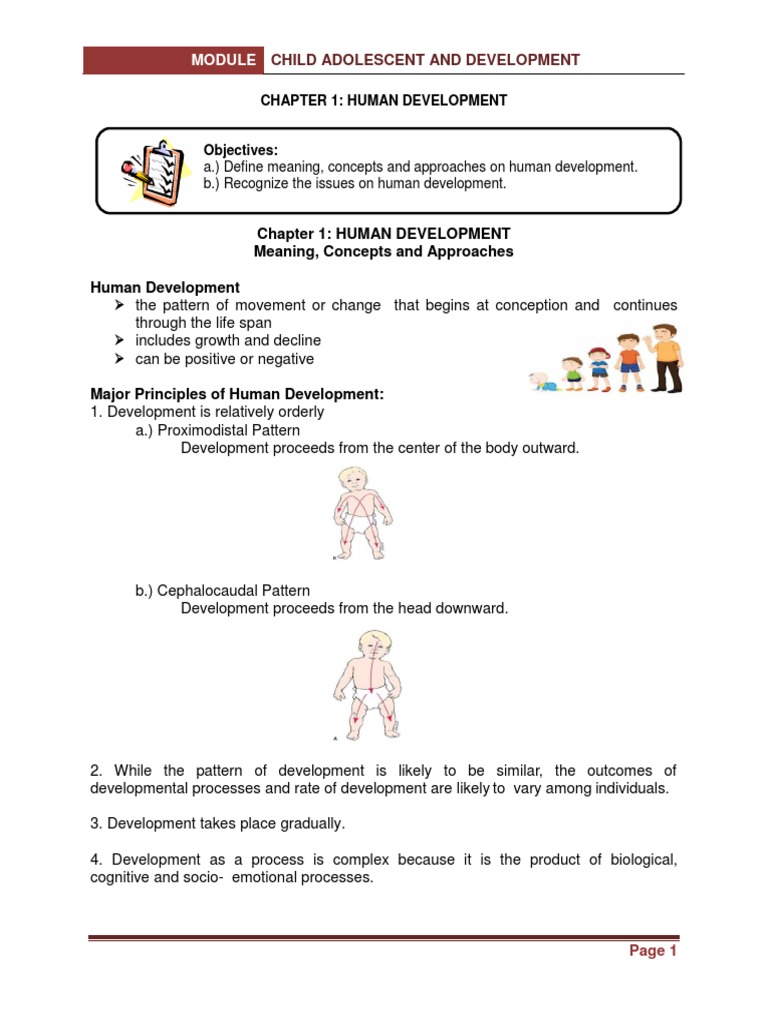 Chapter 1 - Human Development | PDF | Developmental Psychology ...