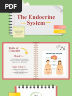 Endocrine System | PDF | Endocrine System | Hormone