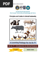 Swine Terminology | PDF | Pig | Livestock