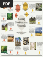 Tipos de Clima en Venezuela | PDF | Zona tropical | Clima