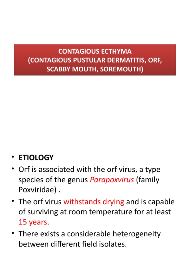 Contagious Ecthyma (Contagious Pustular Dermatitis, Orf, Scabby Mouth ...
