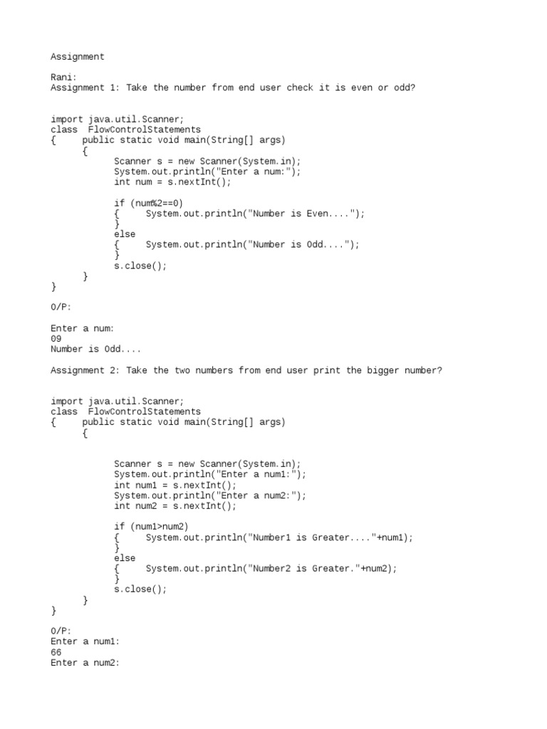 Assignments | PDF | Password | Software