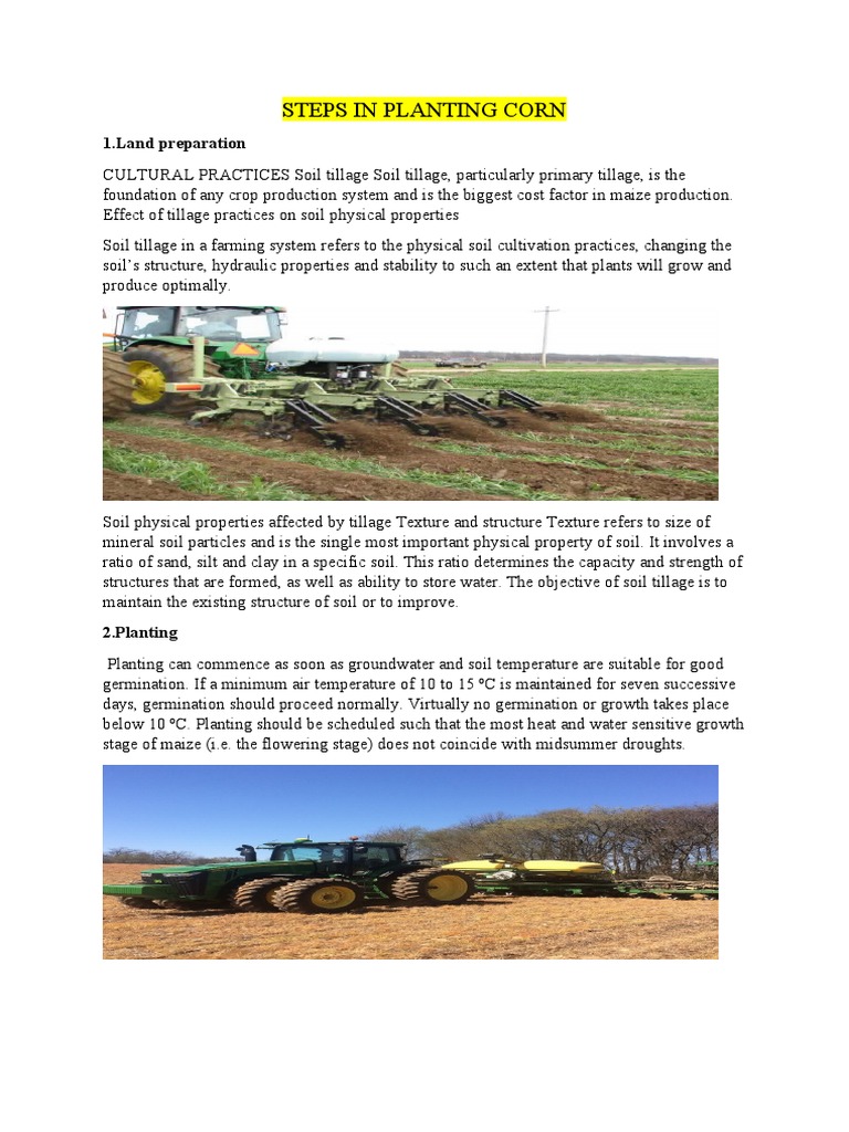 Steps in Planting Corn: 1.land Preparation | PDF | Soil | Maize