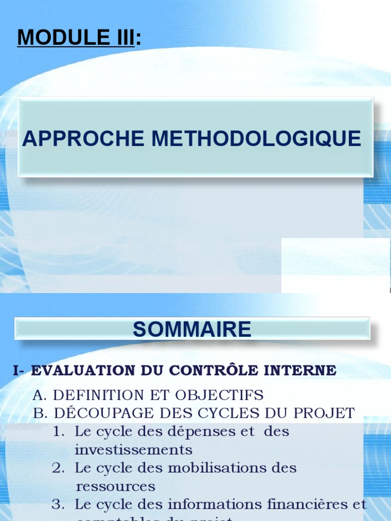 Audit Des Projet Module 3 | PDF | Contrôle interne | Audit