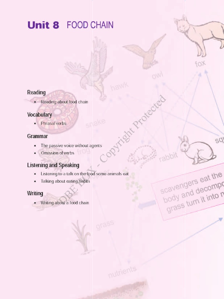 Myanmar G-10 English Unit-8 Food Chain | PDF