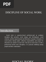 Social Work Practice Standards Guide | PDF