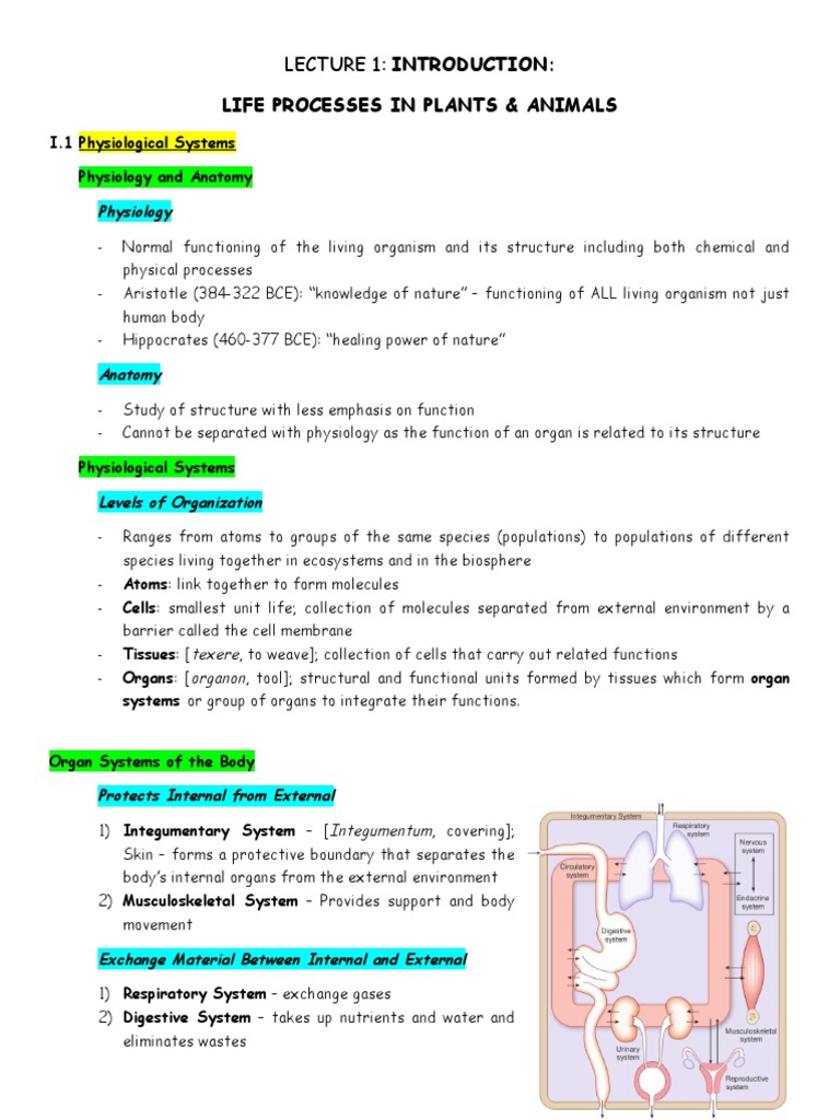 Life Processes in Plants & Animals: Lecture 1: Introduction | PDF ...