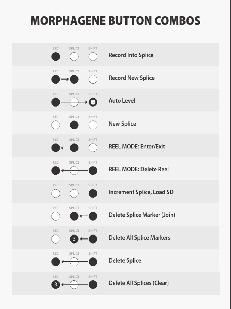 Morphagene Sheet | PDF