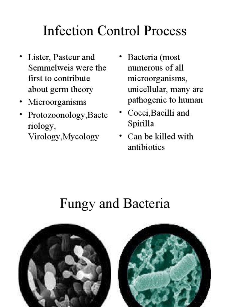 Infection Control and Microorganisms Guide | PDF | Sterilization ...