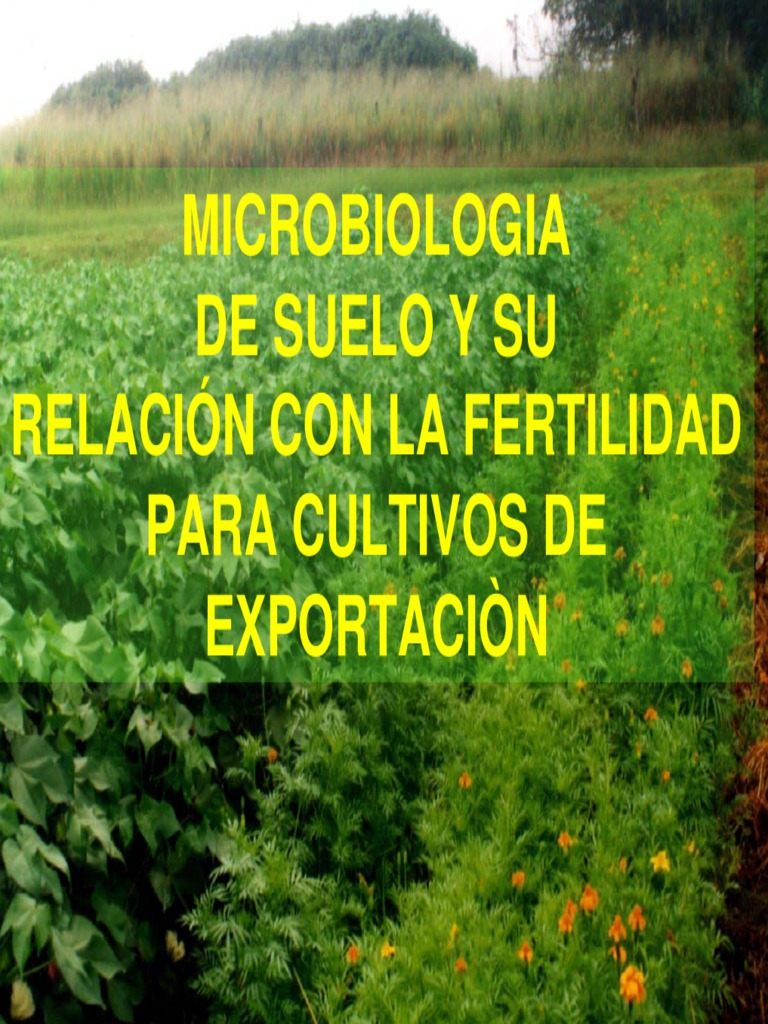 Microbiologia de Suelos APTCH2 JF | PDF | Microorganismo | Suelo