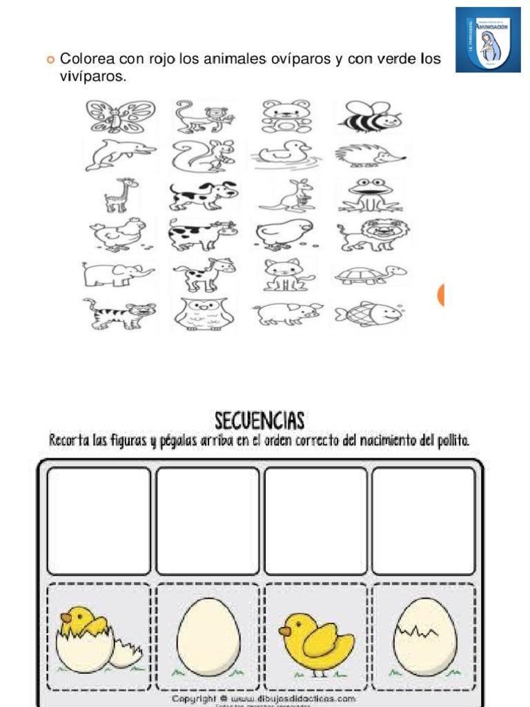 Animales Oviparos y Viviparos | PDF