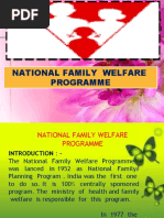 National Family Welfare Programme Overview | PDF | Family Planning ...