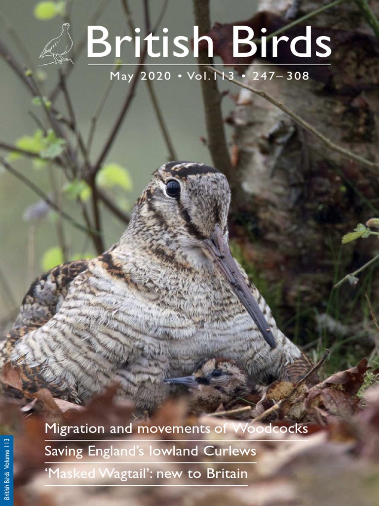 British Birds-May 2020 | PDF | Birdwatching | Birds