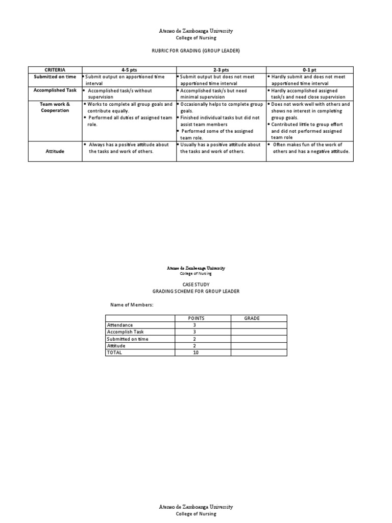 Team Leader Grading Scheme Case Study | PDF | Cognition | Psychology