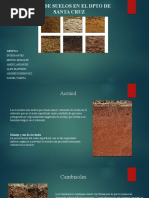 Suelos Fluvisoles Word | PDF | Suelo | Riego