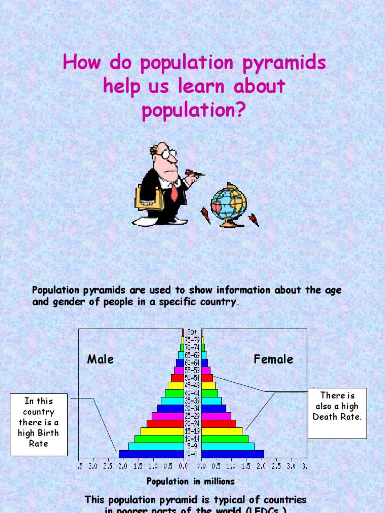 Population Pyramids | Birth Rate