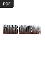 Biografia de Augusto C Coello y Jacobo Carcamo | PDF | Historia