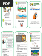 Triptico Terremoto | PDF | Temblores | Naturaleza