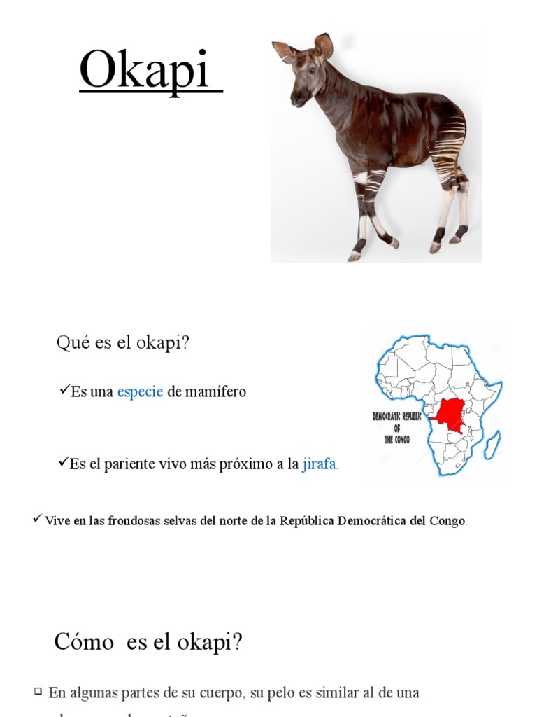 Okapi | PDF