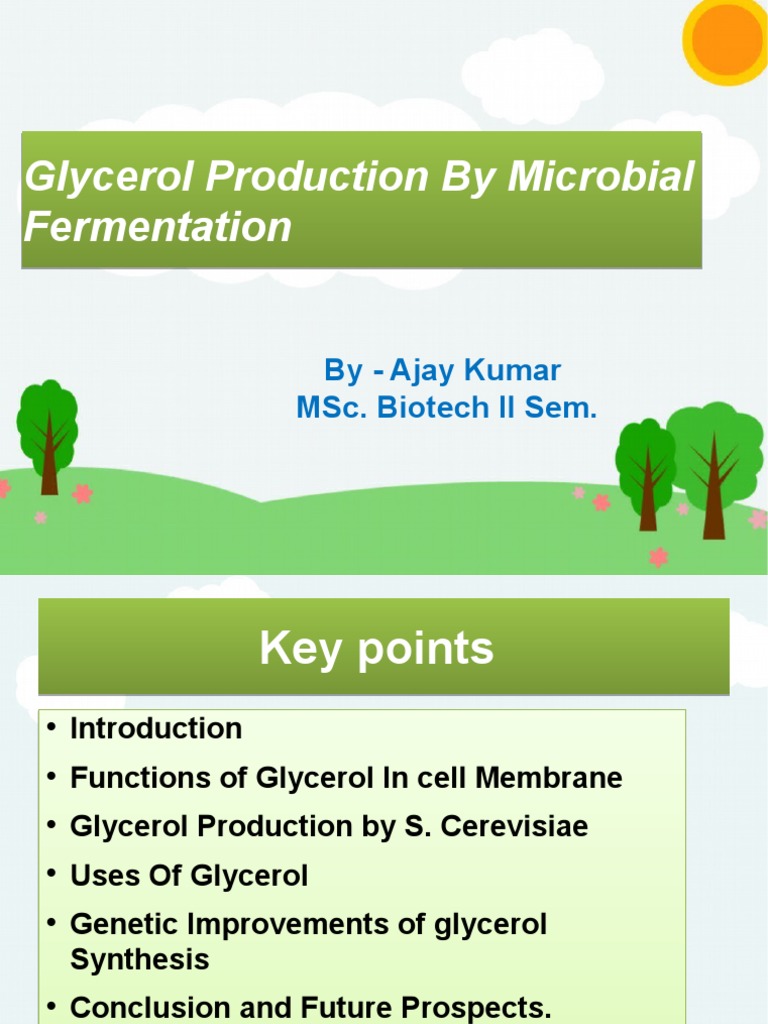 Glycerol Production by Ajay Ok | PDF | Glycerol | Yeast