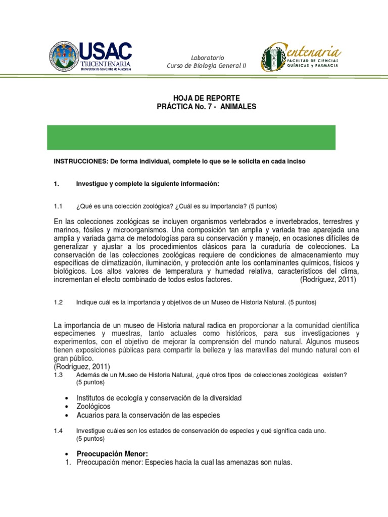 Reporte Animales | PDF | Rinoceronte | Pulpo