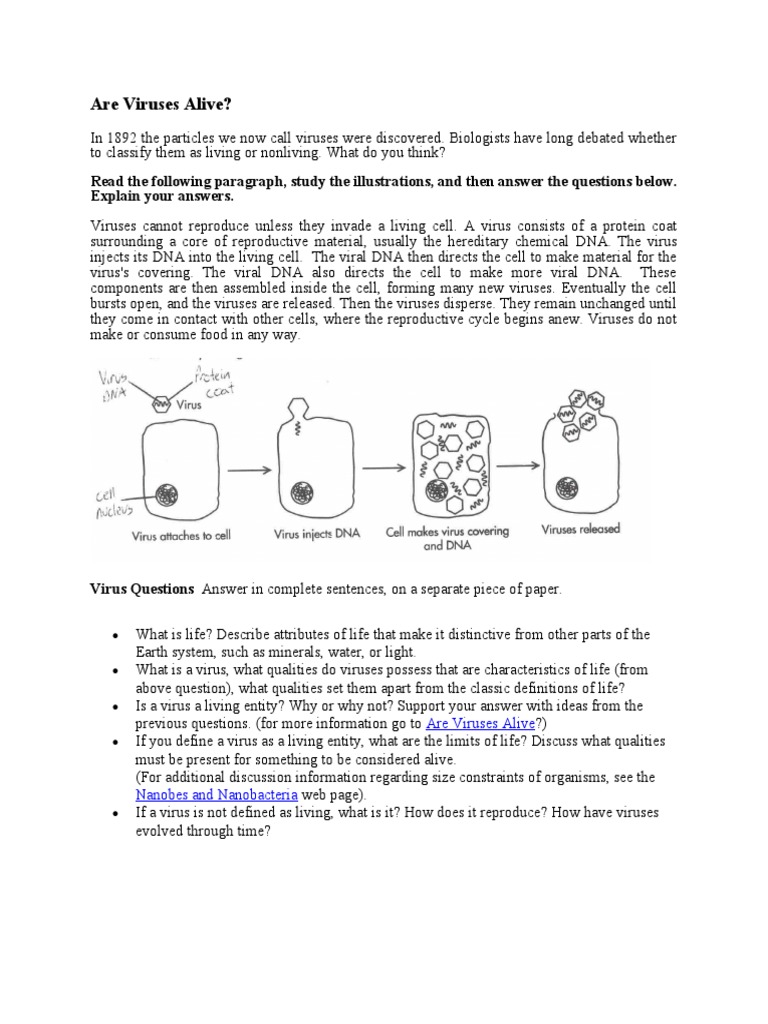 Are Viruses Alive? Exploring Life's Definition | PDF