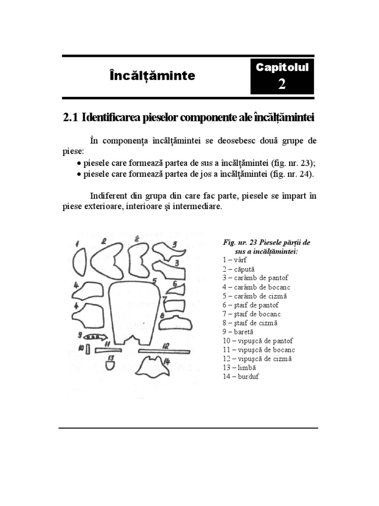 P II - Capitolul 2 | PDF
